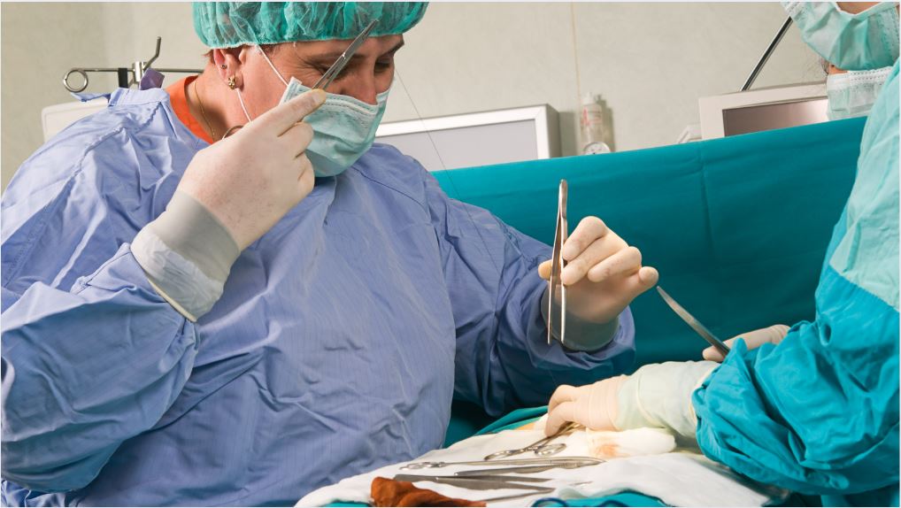 Top 10 Surgical Suture Practice Kits for Aspiring Surgeons